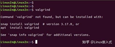 【开源工具】剖析linux下内存检测工具：valgrind 知乎