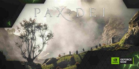 GeForce Now Error Code X D How To Fix It DigiStatement