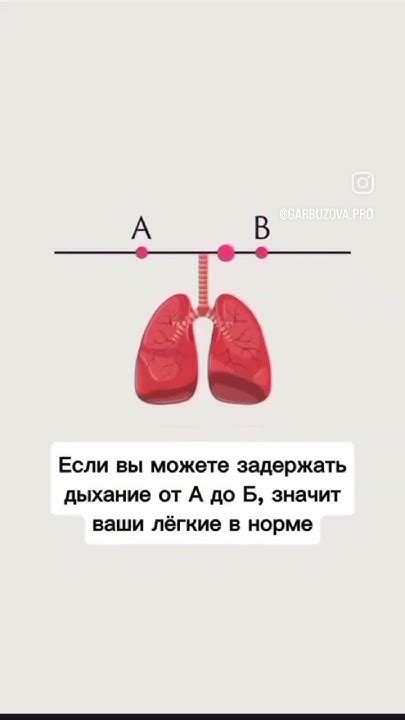 задержи дыхание юмор смешное видео Youtube