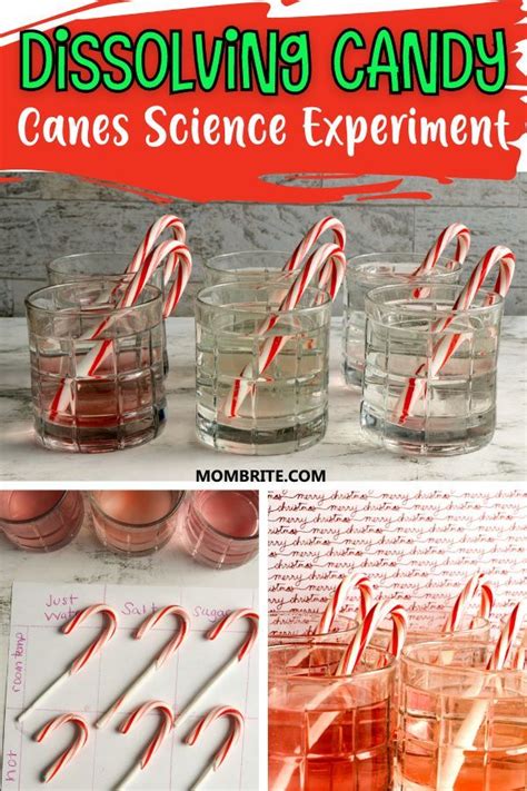 Top 10 Candy Cane Science Experiments And Activities Artofit