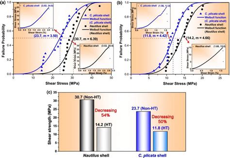 Weibull Distributions Of The Shear Strengths And The Representative Download Scientific Diagram