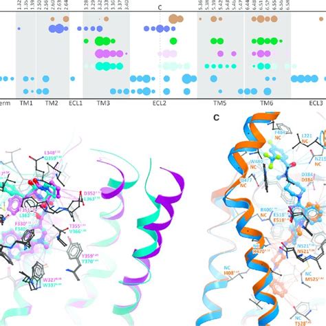 Ligand Challenges In Gpcr Dock A Contact Strength Fingerprints Of The Download Scientific