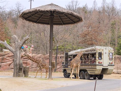 에버랜드 사파리 스페셜투어 예약 로스트밸리 후기 네이버 블로그