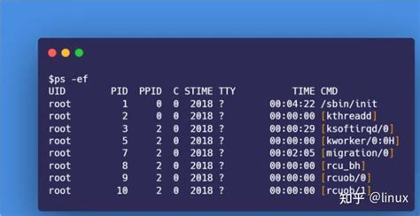 资深程序员总结：分析linux进程的6个方法 知乎