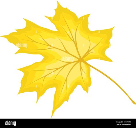 Autumn Maple Leaf Fall Leaf Vector Illustration Stock Vector Image