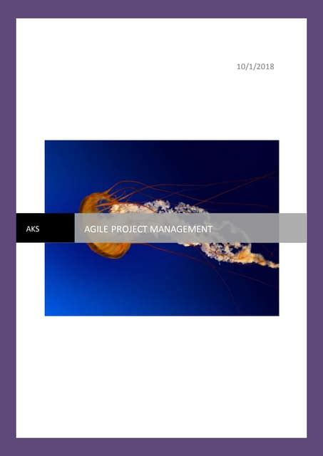 Agile Project Management Docx