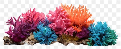 Ecosystem Border Images Free Photos Png Stickers Wallpapers