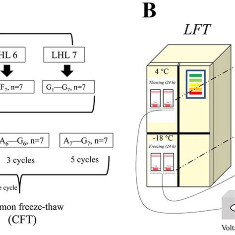 A Schematic Diagram Illustrating Sample Allocation A The