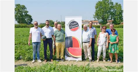 A Watermelon That Also Guarantees A High Brix Level