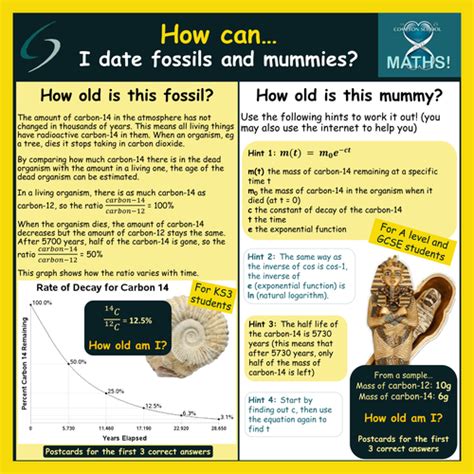 Amazing Maths Corridor Displays Teaching Resources
