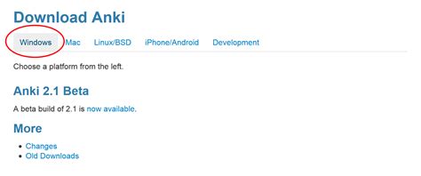 Does Anki Work With Windows 10 Fluent Forever