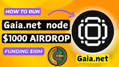 Incentivized Node Setup With Custom Ollama Model Step By Step Guide In Hindi Youtube