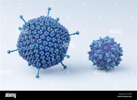 Illustration Of The Adenovirus With The Adeno Associated Virus Aav