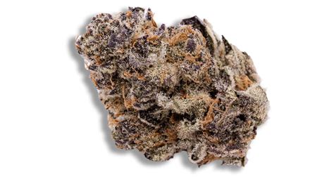 Pennsylvania Modern Flower Strain Guide Trulieve