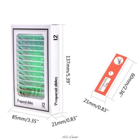 48pcs Set Prepared Microscope Slides Specimen Anim Grandado