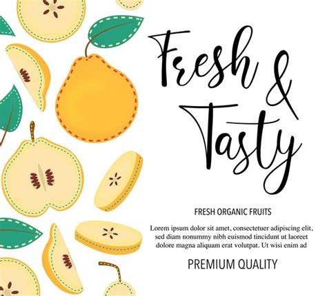 마 르 멜로 전체 및 조각 벡터 배경 흰색 배경에 고립 된 벡터 재고 일러스트 과일 카드 디자인 제품 정보 및 글자 신선하고 맛있는 프리미엄 벡터