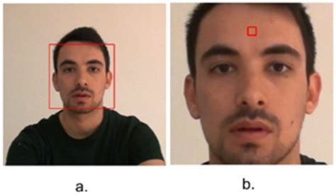 A Face Detection B Patch Location Download Scientific Diagram