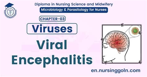 Viral Encephalitis Chapter 3 Microbiology And Parasitology For Nurses