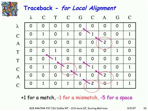 7 Still More Dp Scoring Matrices Ppt Download