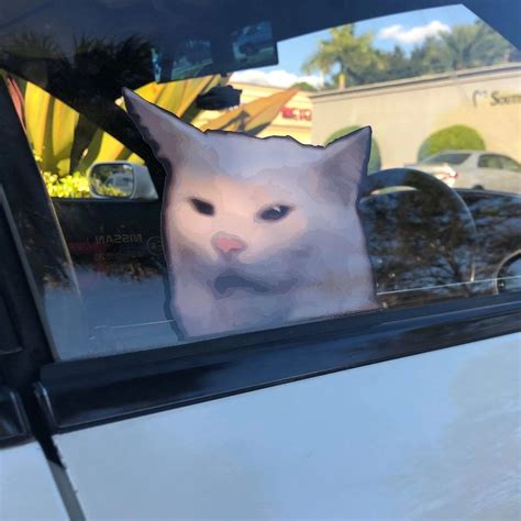 Confused Cat Meme Decal Spinnywhoosh Graphics