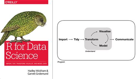 Exercises Of The Book R For Data Science Francisco Yirá