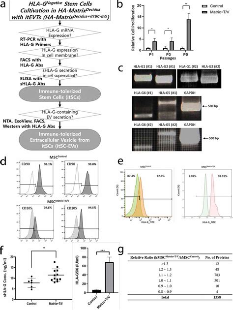 Proliferation And Evaluation Of Hla‐g Expression And Secretion Of Download Scientific Diagram