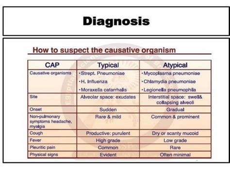 Drjiban Pptpptx Bbbbbbbbbbbbbbbbbbbbbbb Ppt