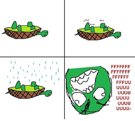 Turtle Rage