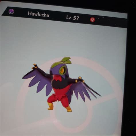 Never Knew Shiny Hawlucha Looked So Dope I Found It In An Online Raid