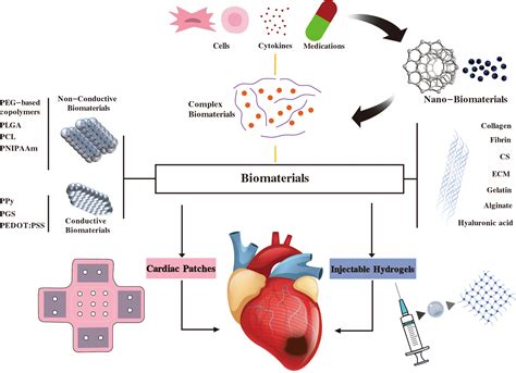 Medcomm Biomaterials And Applications Wiley Online Library