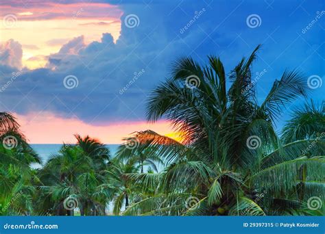 Sunset Over Tropical Palm Trees Stock Image Image Of Landscape Fire