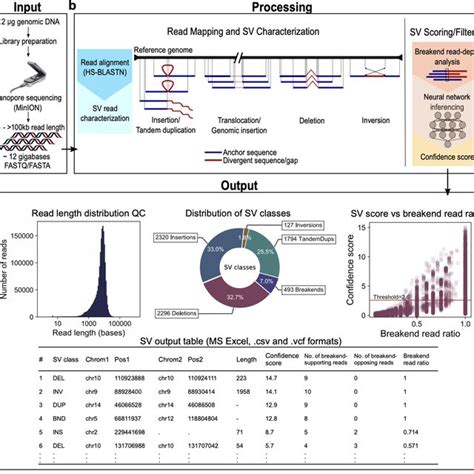 Pdf Nanovar Accurate Characterization Of Patients Genomic Structural Variants Using Low