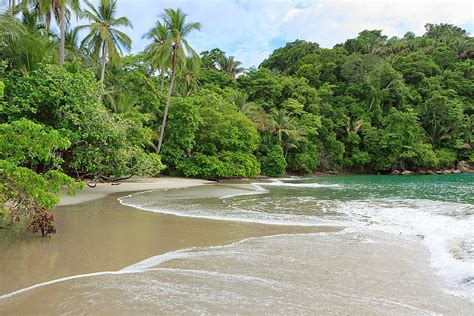Manuel Antonio National Park 60 фото
