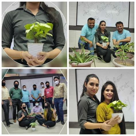 Deepshikha Singh On Linkedin Saveenvironment Worldenvironmentday Savetheplanet Nature