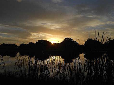 Grace Photograph By Sheila Silverstein Fine Art America