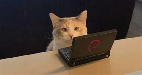 win？mac？linux？哪个操作系统适合编程开发 知乎