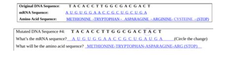 Mutations Flashcards Quizlet