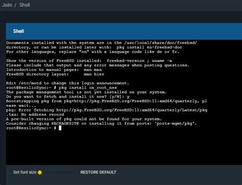 How To Manually Install Resilio Sync In FreeNAS 11 3 U3 2 Jails