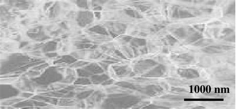 Microstructure Of Porous Polystyrene Before Loading At Filter