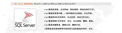 Sql数据库修复oracle数据库修复恢复mysql数据库修复sybase数据库恢复bitlocker解密bitlocker数据
