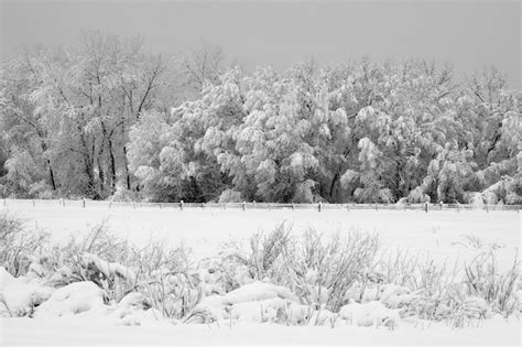 Bobolink Trail Boulder Colorado Hiking Bobolink Trail Boulder Colorado Hiking