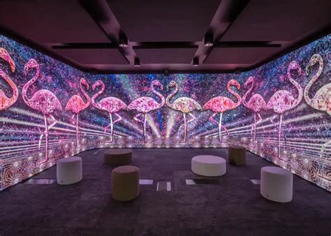 Immersive Led Room And Interactive Led Displays At Pixel Artworks
