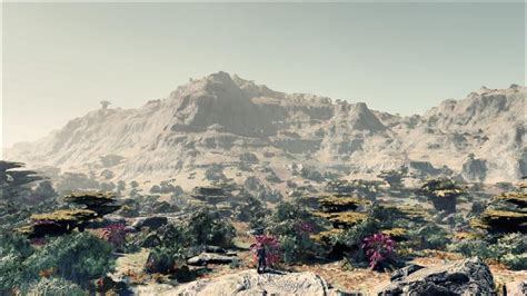 Cassiopeia 1 Is Gorgeous Rstarfield