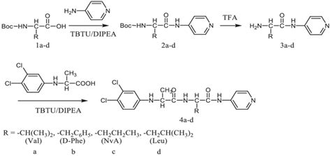 Scheme 1 Synthesis Of New Dipeptide Derivatives Of 4 Ap Download Scientific Diagram