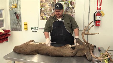 Tanning Your Own Deer Hides