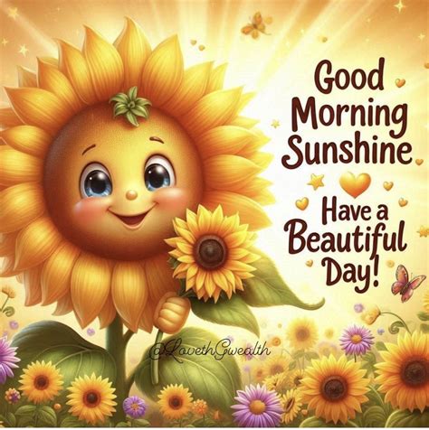Good Morning Sunshine 