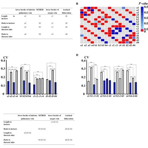 Real Time And Intuitive Measurement Scene During Surgery Download Scientific Diagram