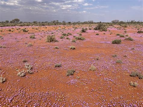 Perup Industries Pty Ltd