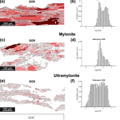 Gos Value Of The Analysed Domains Projected As A Map A C And D And Download Scientific