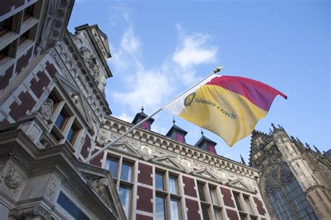 Phd Defense Towards Real Time Motion Estimation For Mr Guided